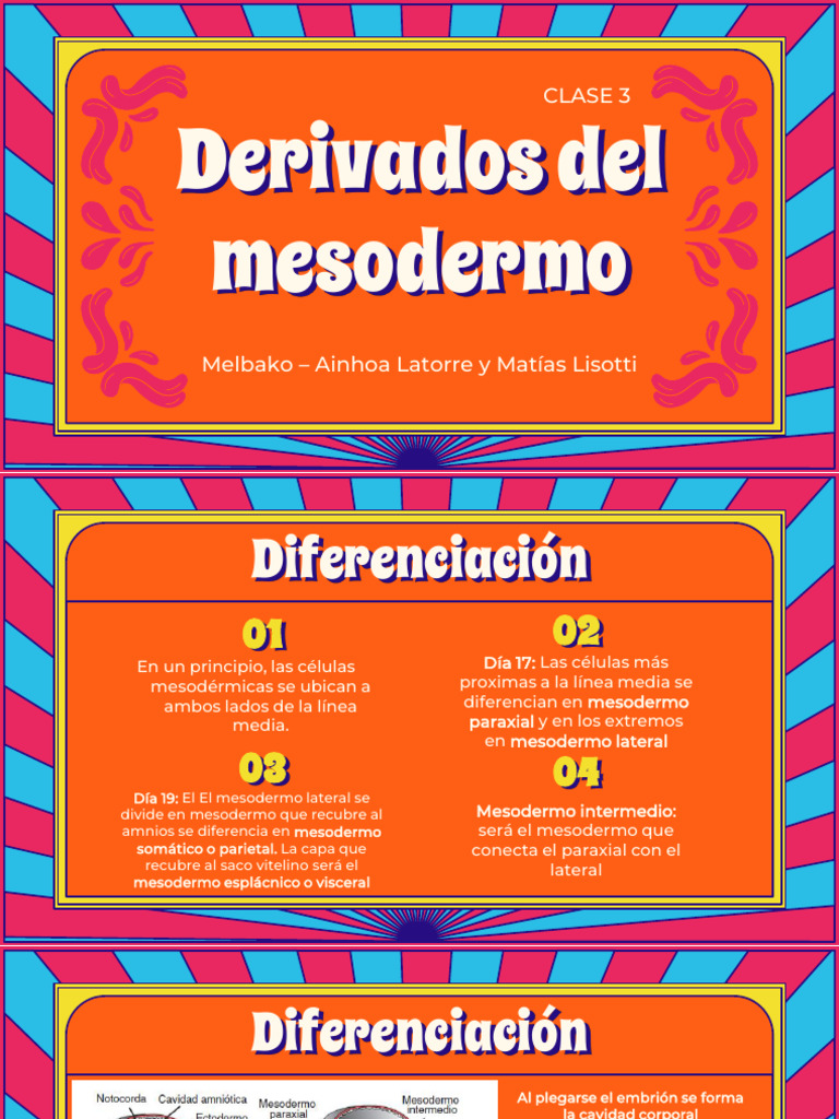 Derivados Del Mesodermo | PDF | Anatomía | Biología del desarrollo