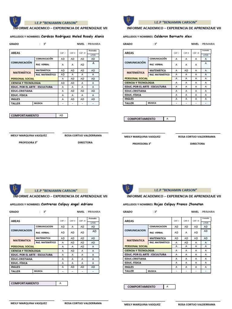 BOLETA - 3 Grado | PDF | Comunicación | Maestros