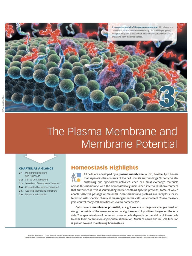 Ibd Materi Pak Panca | PDF