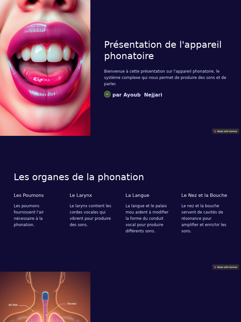 Comprendre l'appareil phonatoire | PDF