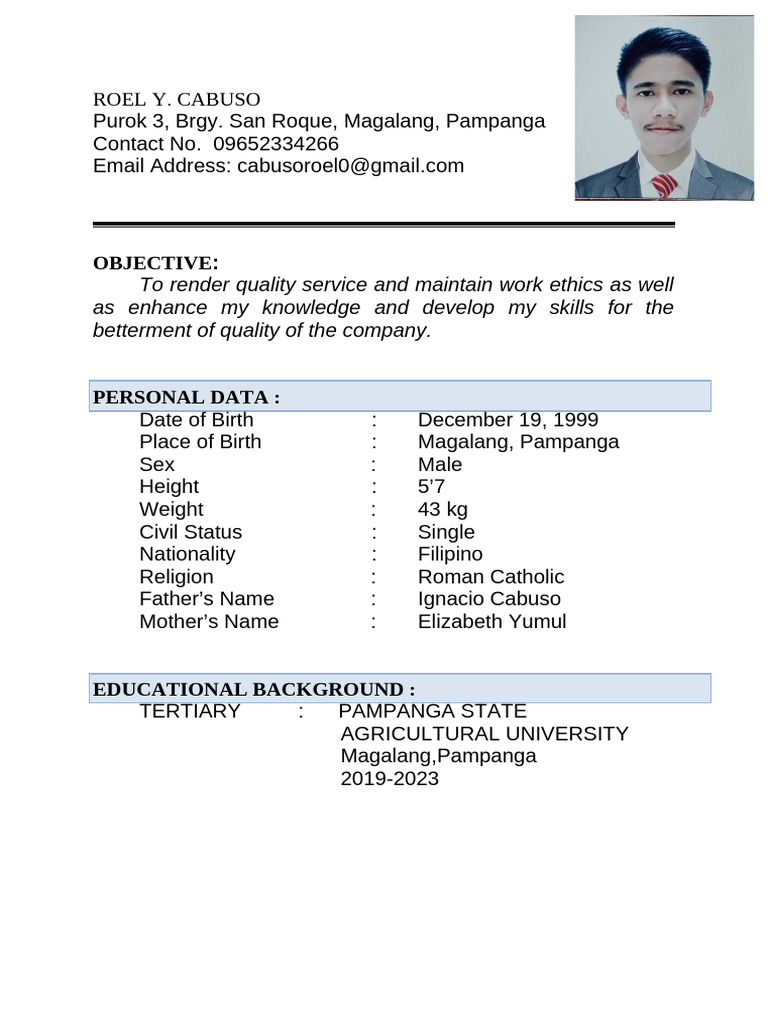 Roel Resume Edited11 | PDF