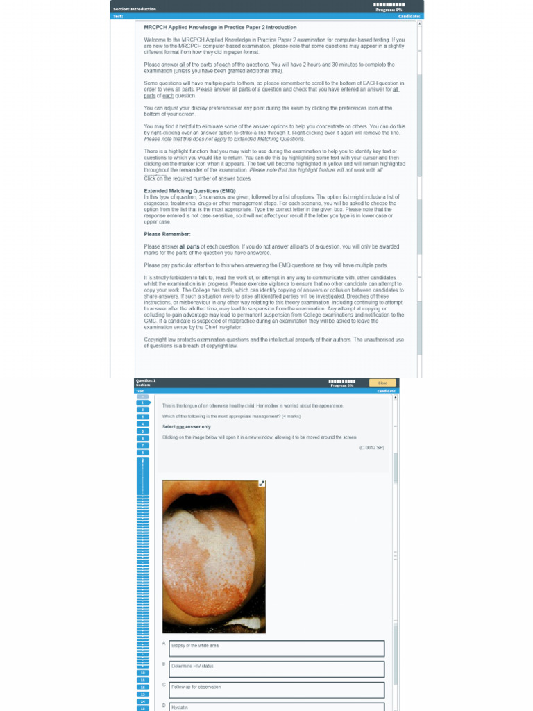 January Sample Paper 2 | PDF