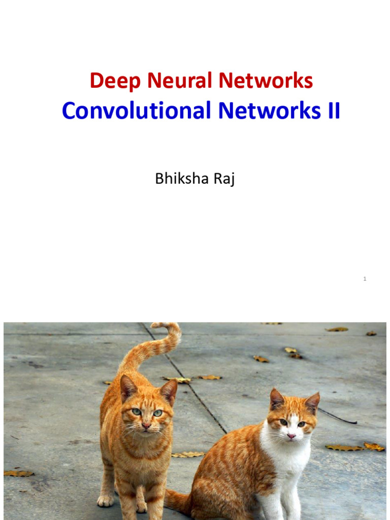 Lec8 Cnn Pdf Visual Cortex Neuroscience