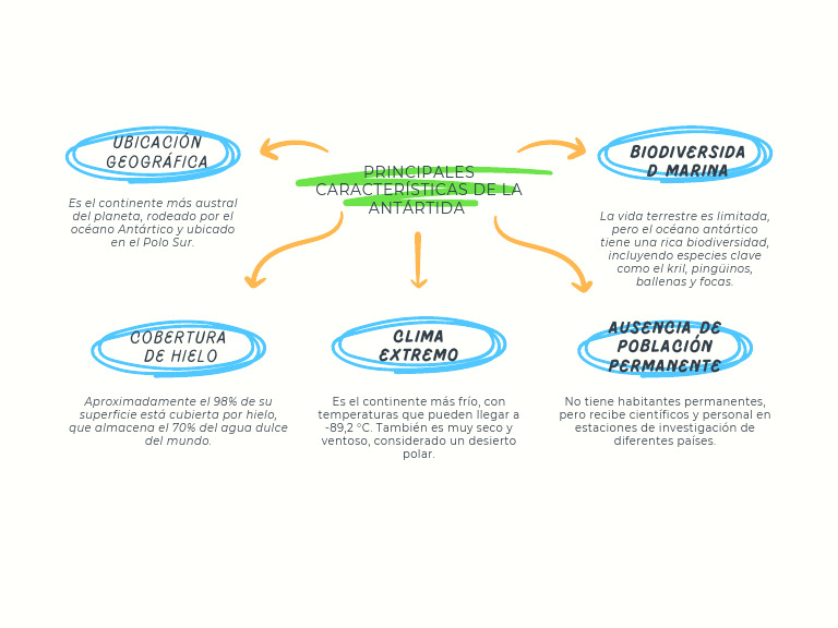 Gráfico Mapa Mental Diagrama Doodle Creativo Colorido - 20241217 ...