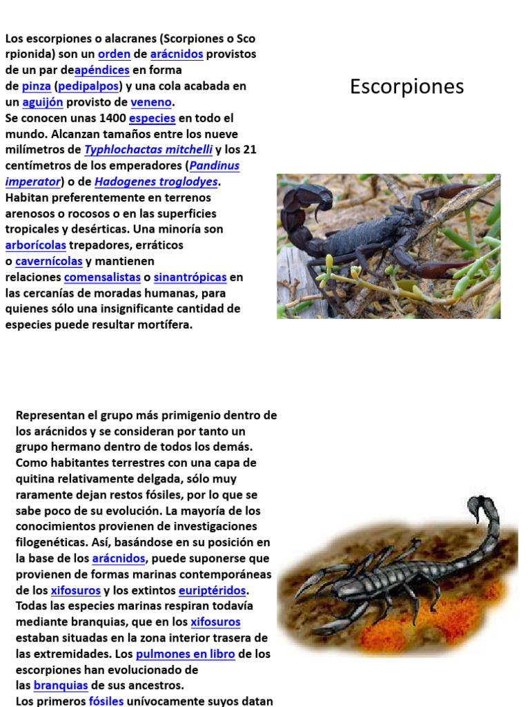Características y clasificación de escorpiones | PDF | Canal de iones