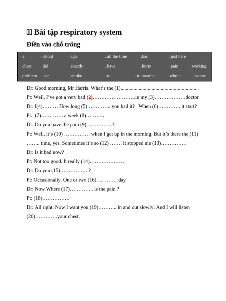 Respiratory System Assignment | PDF