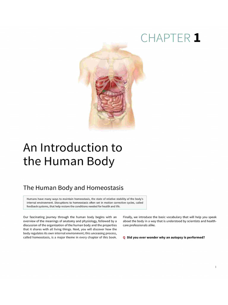 Anatomy and Human Physiology | PDF