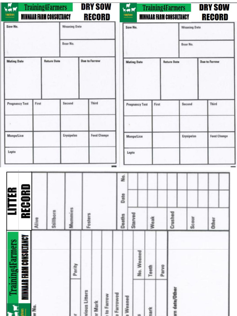 Complete Pig Record Keeping System TEMPLATES | PDF