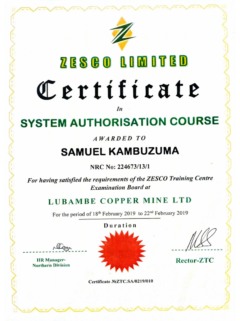 System Authorisation Certificate | PDF