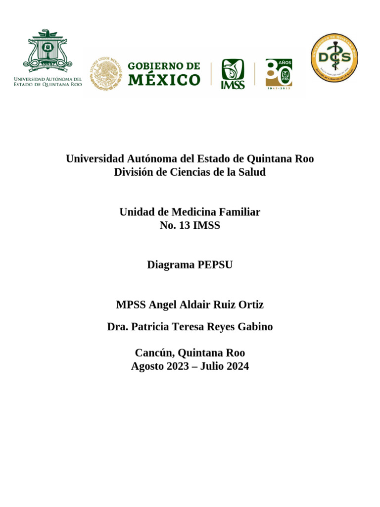 Diagrama PEPSU | PDF | Radiología | Programas sociales