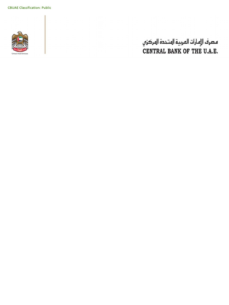 CBUAE_EN_1691_VER2 | PDF | Capital Requirement | Basel Iii
