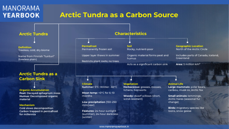 Arctic Tundra | PDF