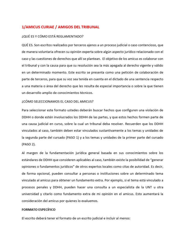 Guía sobre Amicus Curiae en DDHH | PDF | Amicus Curiae | Justicia