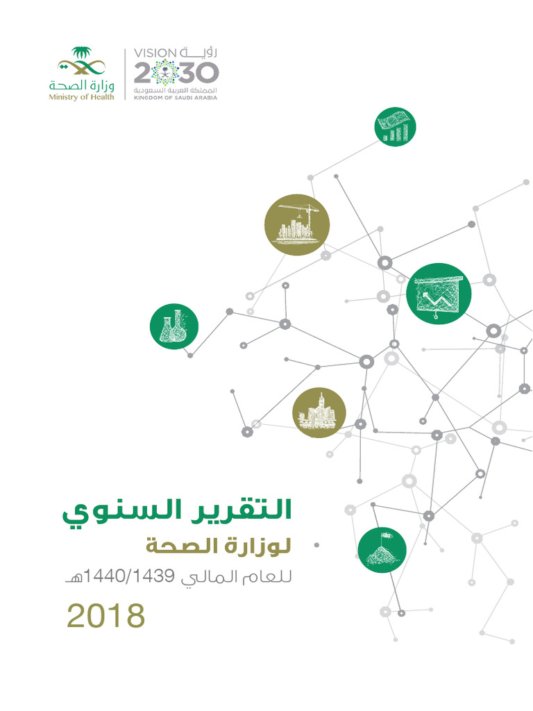 MOH Report 2018 | PDF