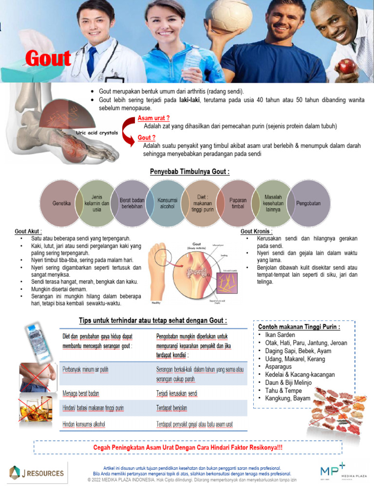 BULKES Gout | PDF