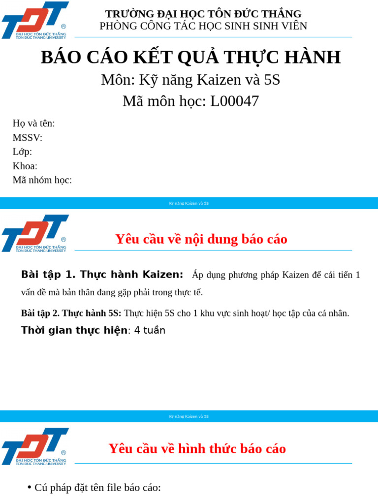 Kaizen 5S | PDF