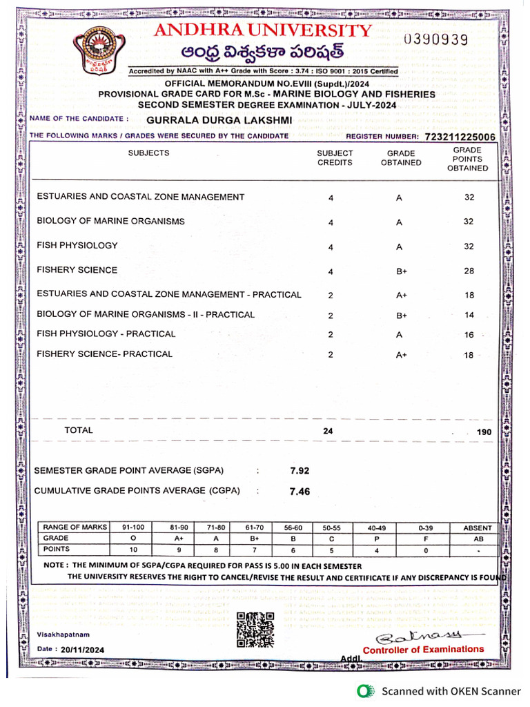 MLR New Doc 12-23-2024 12.20 | PDF