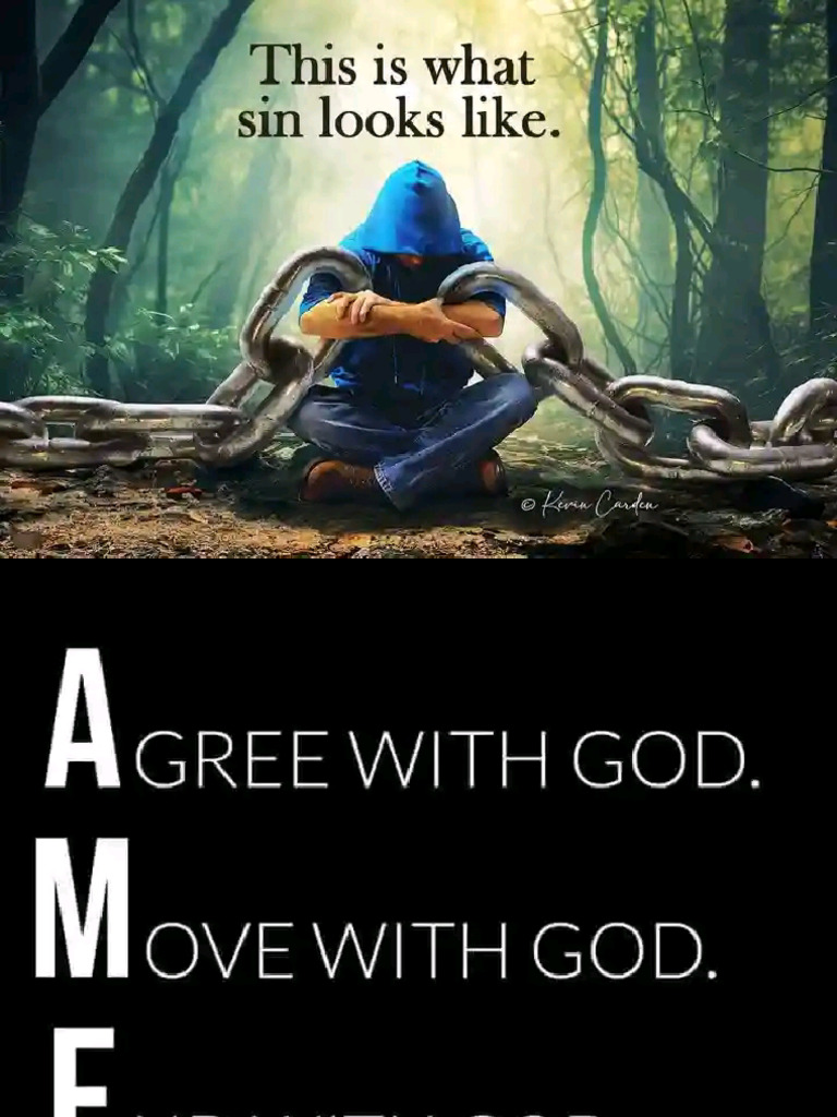 PDF Phoenix 20241130 | PDF