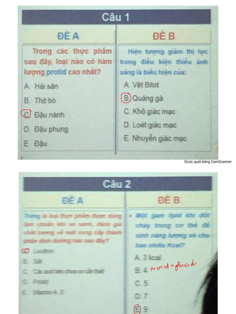 (DDH) Đề giữa kỳ | PDF