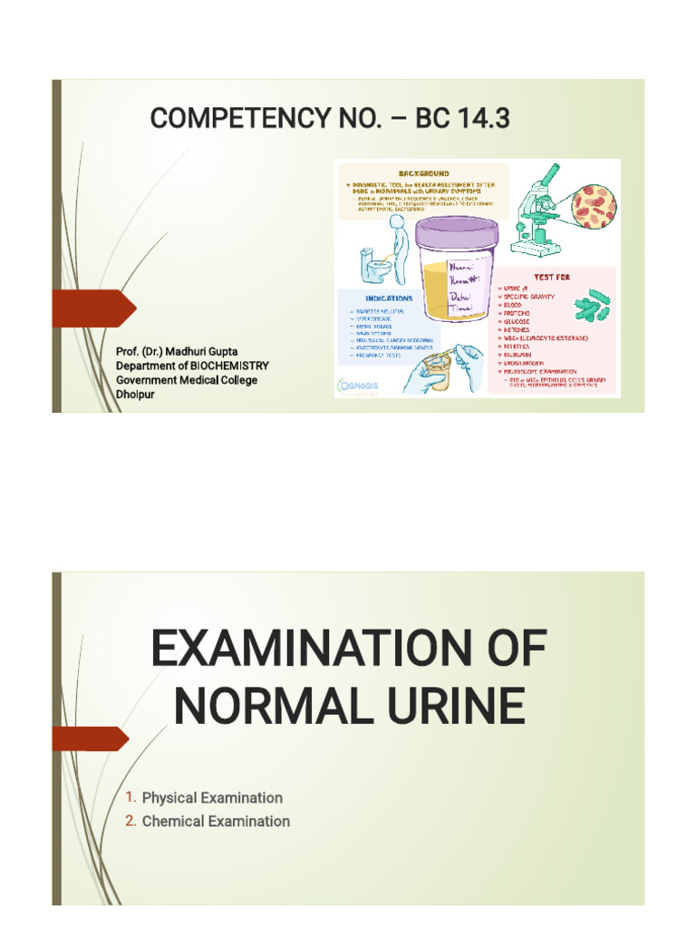 Normal Urine | PDF | Urine | Urea