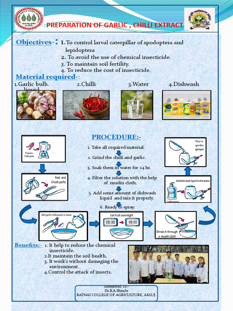 PREPARATION OF GARLIC CHILLI EXTRACT Final | PDF