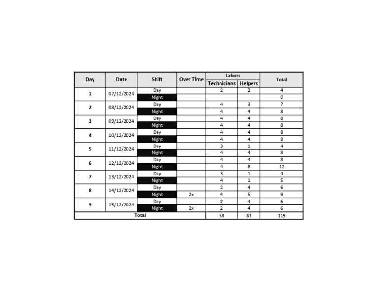 Daily Time Sheet Naeem | PDF