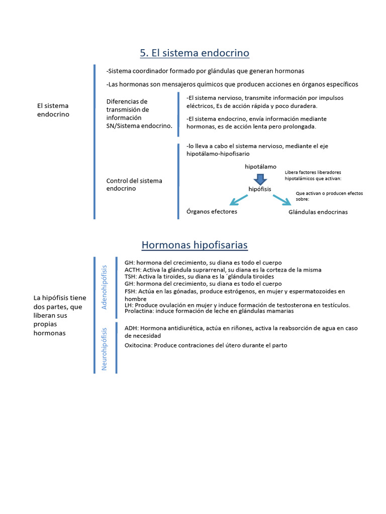 Esquemas de Biologia-2 | PDF | Sistema endocrino | Drogas