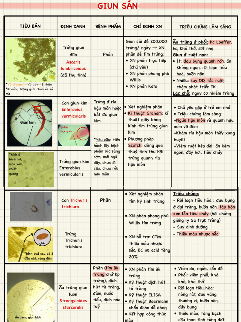 NH Danh CH NH XN B NH PH M Tiêu B N U Trùng PH I: Giun Ru T Non | PDF