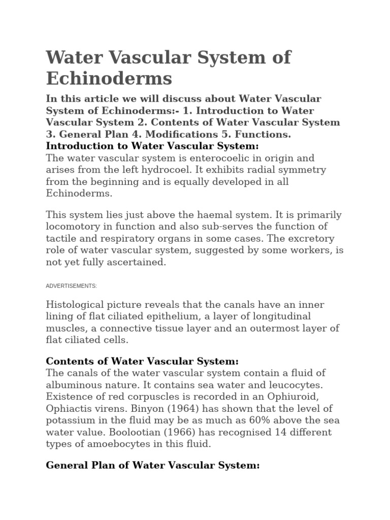 Water Vascular System of Echinoderms | PDF