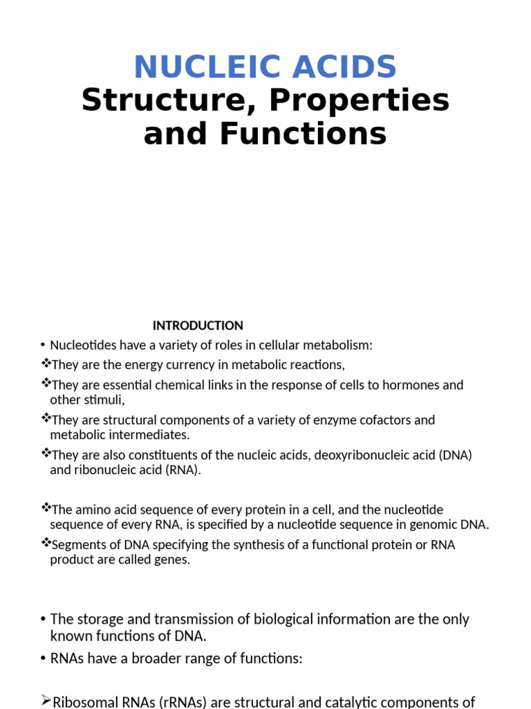 LEC 5- NUCLEIC ACIDS | PDF | Translation (Biology) | Rna
