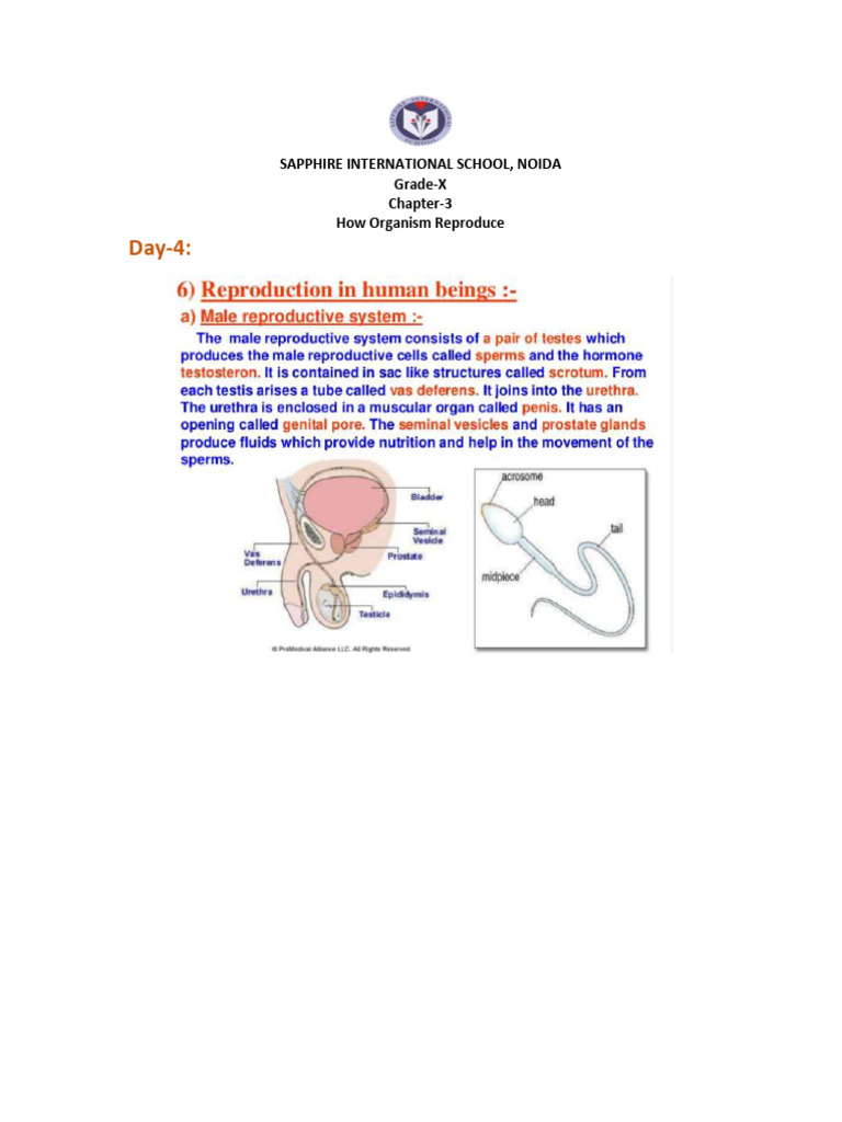 10th Chapter 3 lp4 | PDF