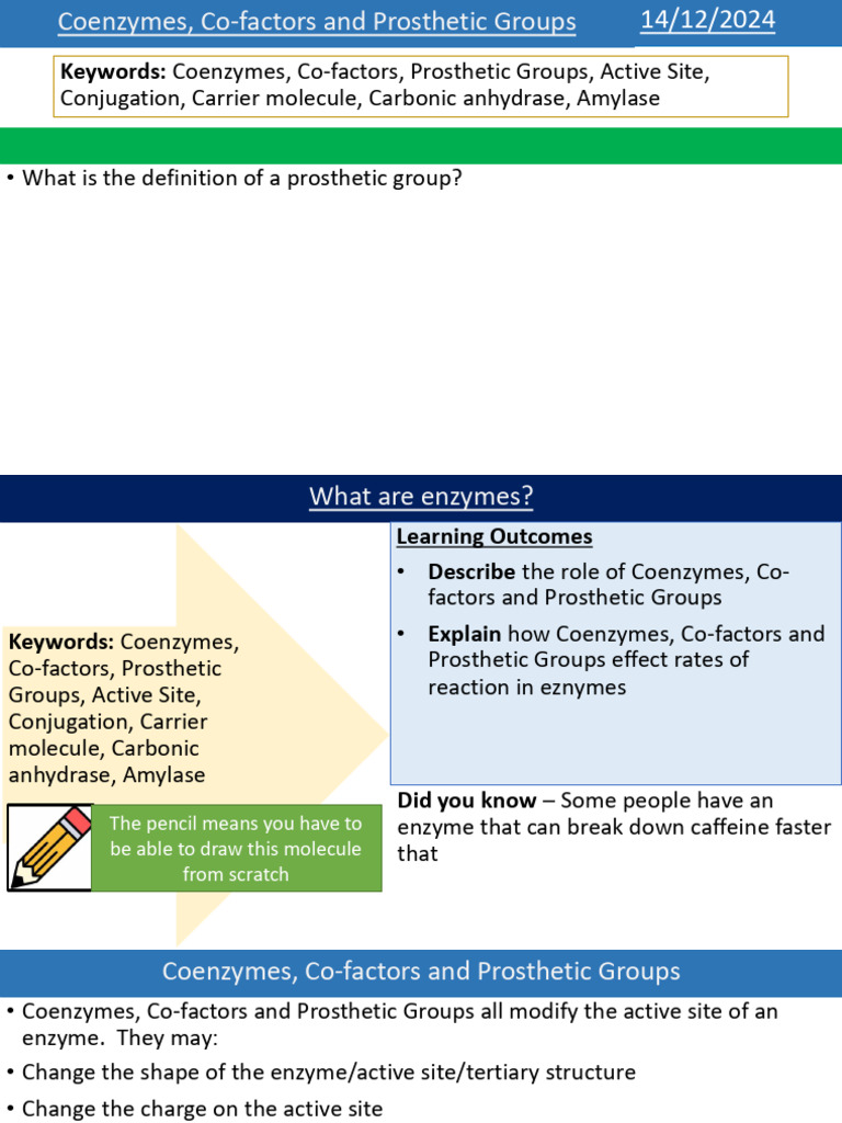 Lesson 06 Coenzymes and Cofactors | PDF | Cofactor (Biochemistry) | Enzyme