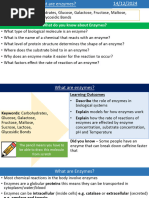 Pogil - 6 Enzymes and Cellular Regulation | PDF | Enzyme | Polymerase ...