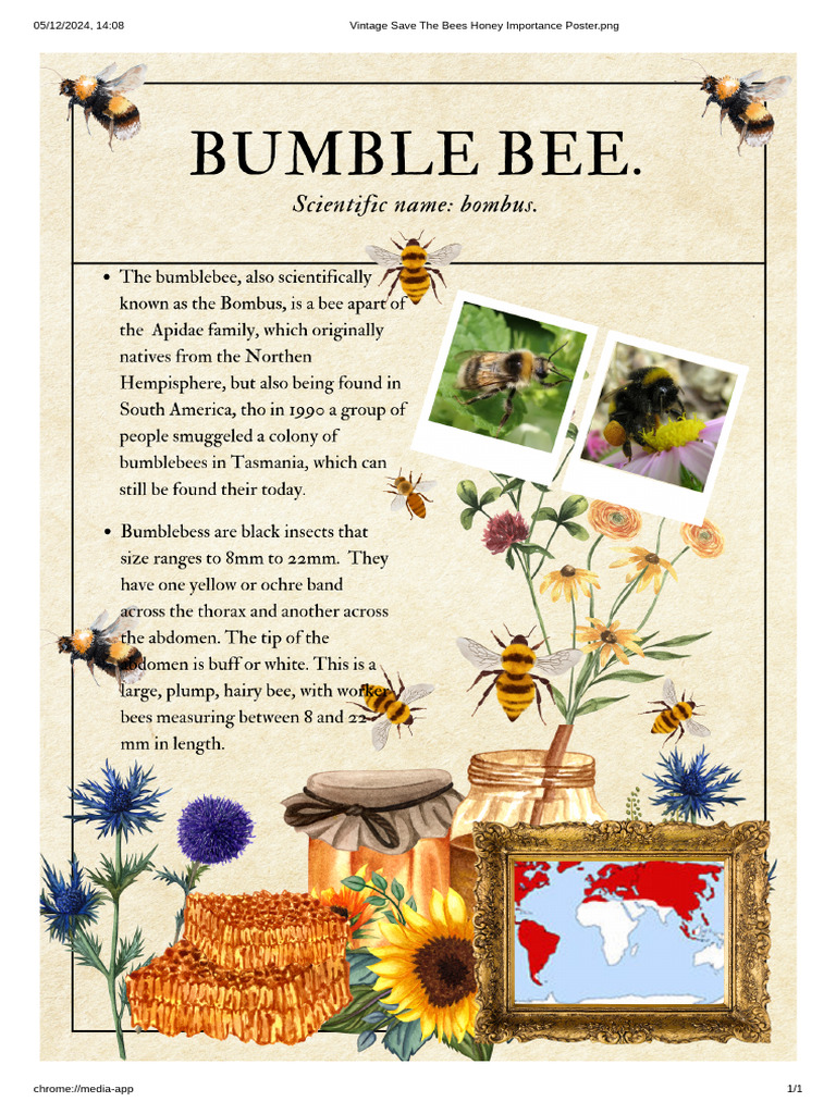 Bees Poster | PDF