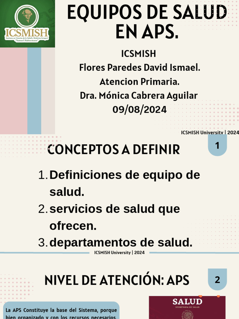 Equipos de Salud en APS: Definiciones y Funciones | PDF | Hospital | Medicina