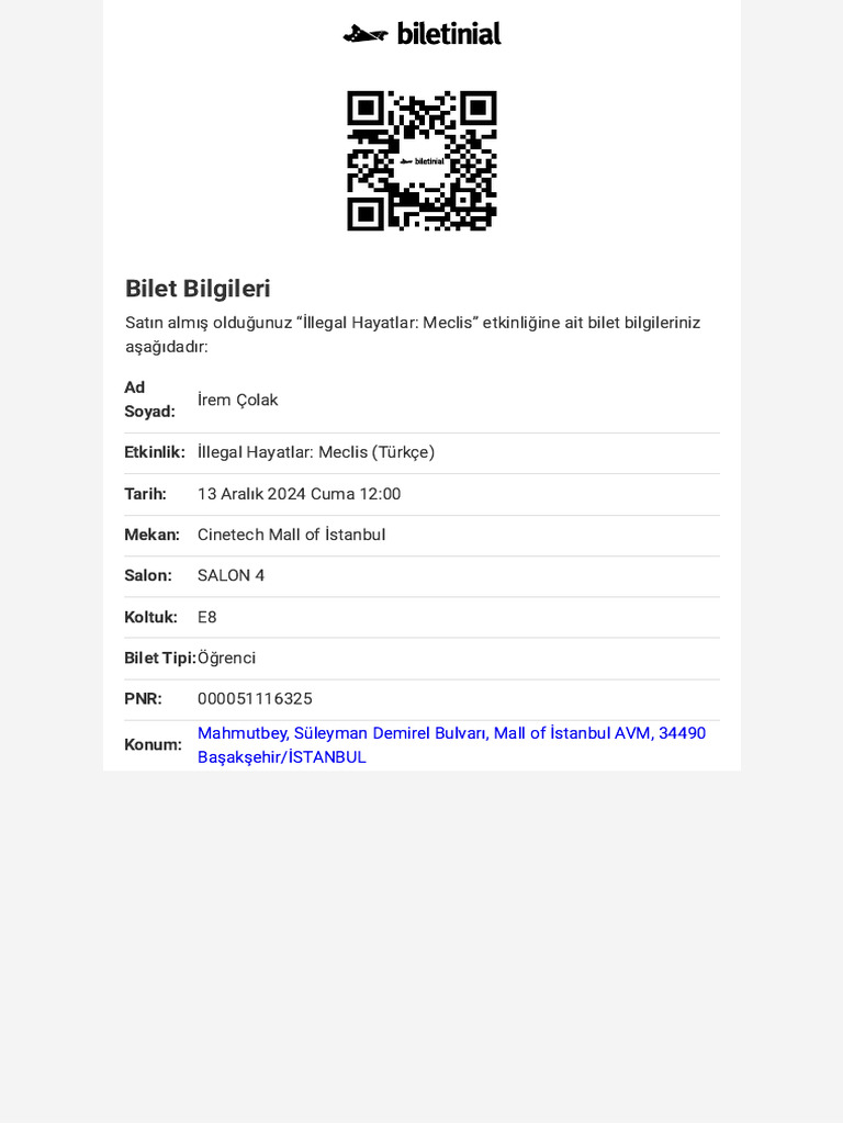 Bilet Bilgileri | PDF