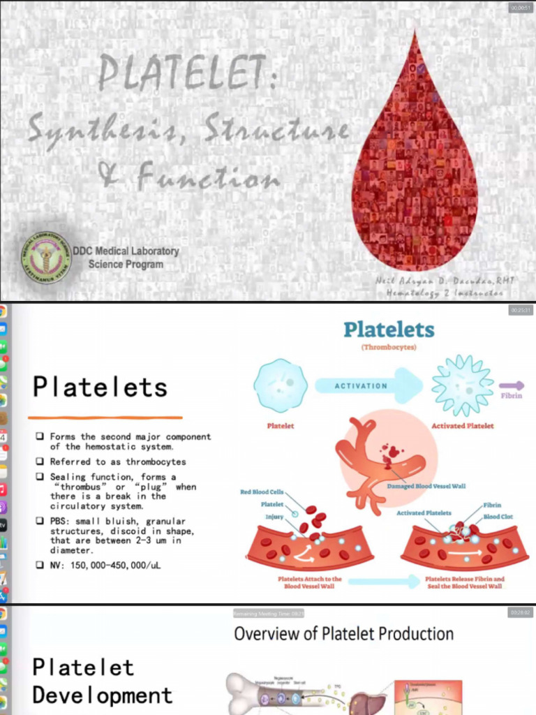 Platelet and Hemostasis PPT Screenshot | PDF | Coagulation | Platelet