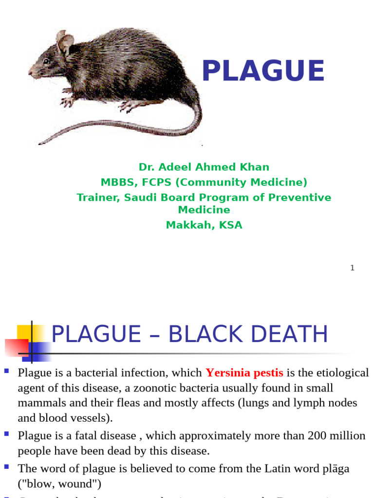 Understanding Plague: History and Impact | PDF | Lymphatic System ...