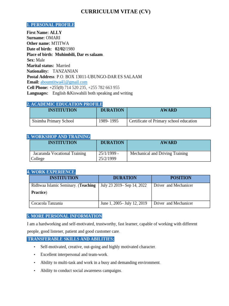Ally Mtitwa CV | PDF