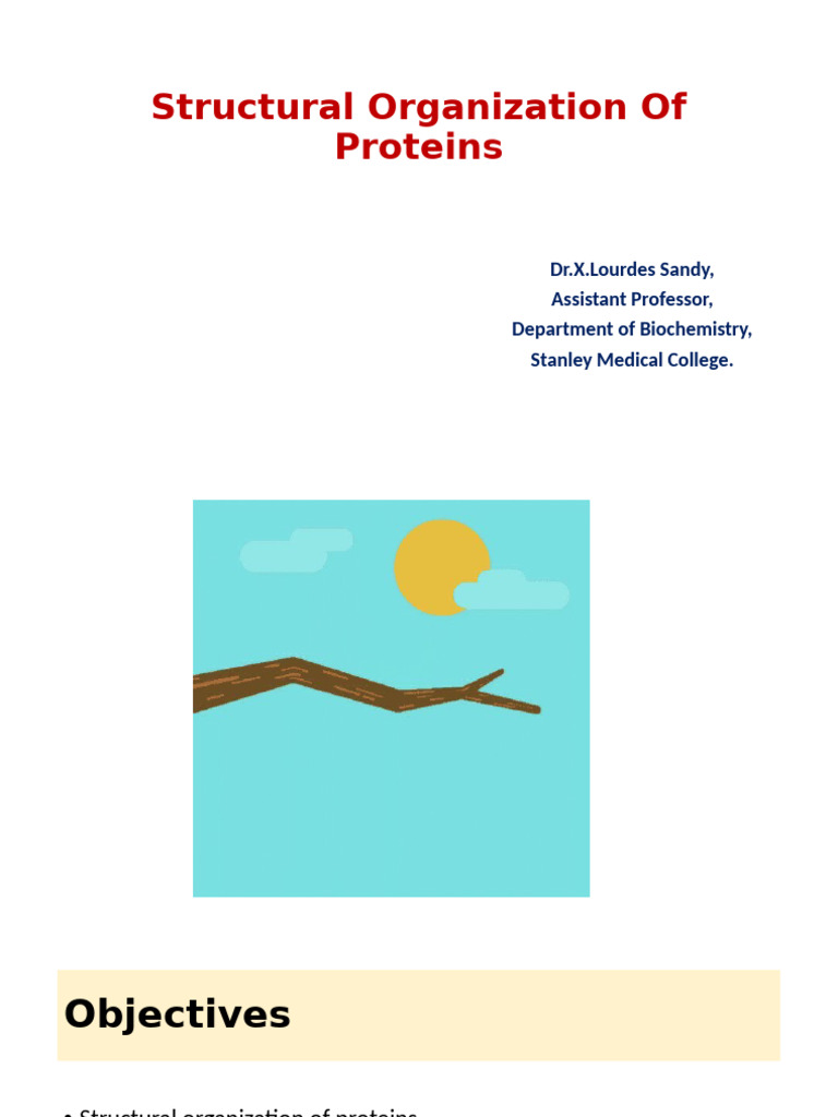 Structural Organization of Proteins | PDF | Beta Sheet | Protein Structure