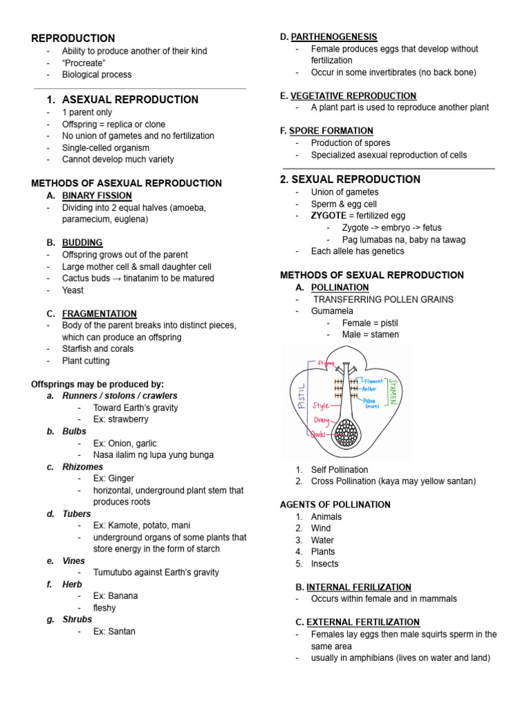 BIOLOGY 2 NOTES (1) | PDF | Reproduction | Plant Reproduction