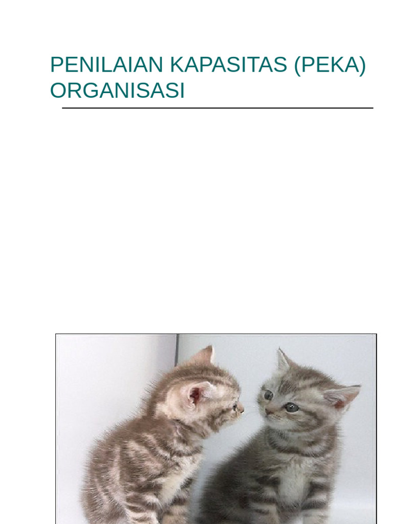 Pengembangan Kapasitas (Peka) | PDF