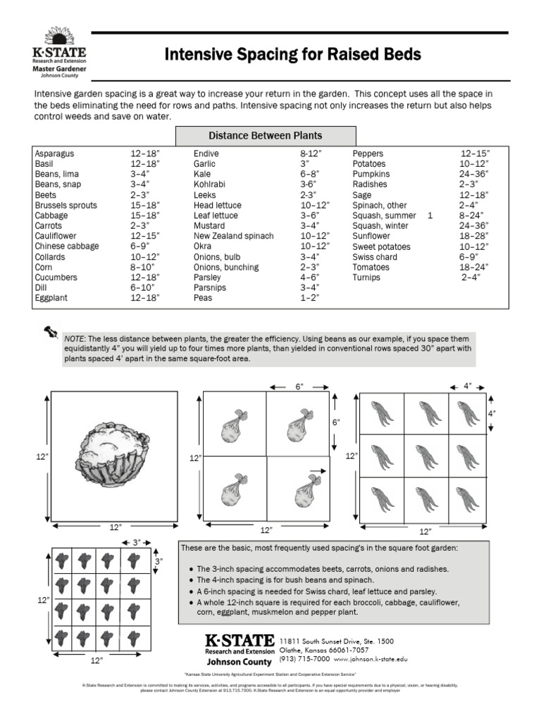 Intensive Spacing Guide for Raised Beds | PDF | Onion | Foods