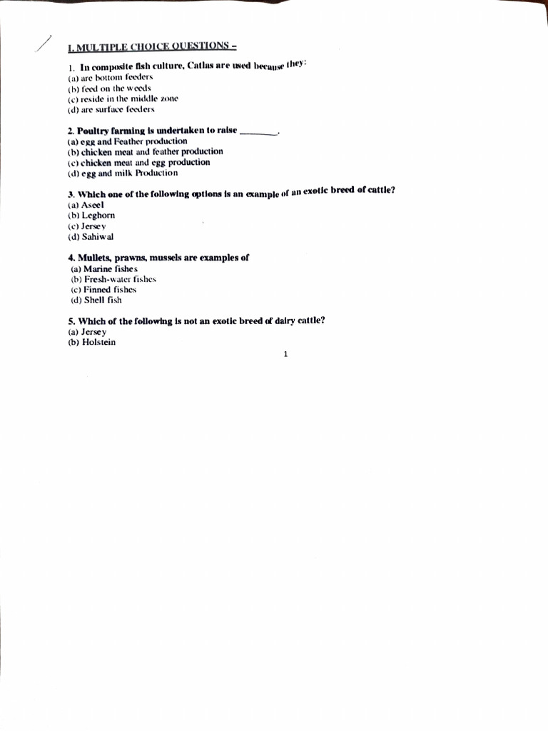 Bio Worksheet | PDF | Poultry | Broiler
