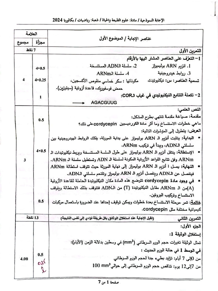 Bac2024 Sciences M Correction | PDF