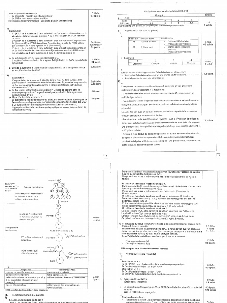 Correction SVT 2023 | PDF
