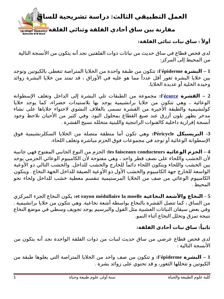 TP Bio Vég 1ere SNV Stem | PDF