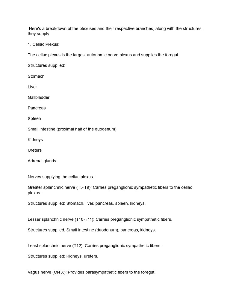 Nerve Supply of ABDOMEN | PDF | Large Intestine | Autonomic Nervous System