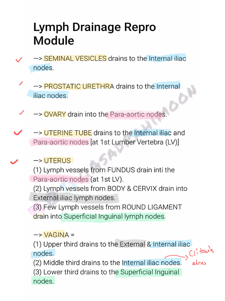Lymph Drainage Repro Module | PDF