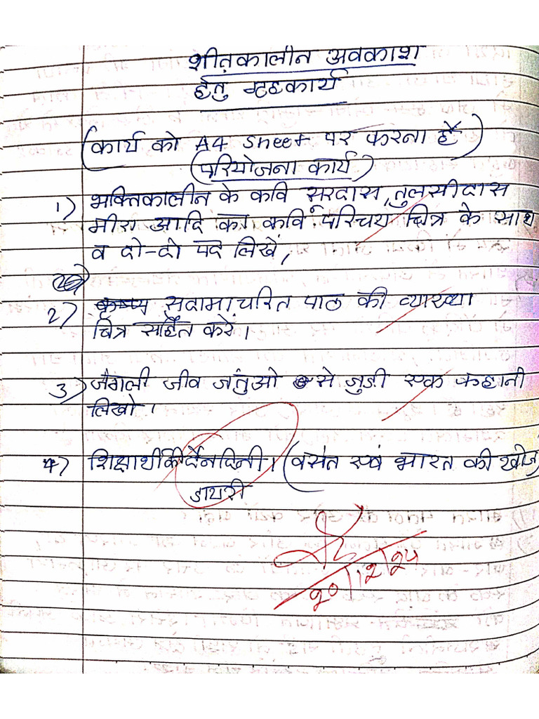 Hindi holiday homework | PDF